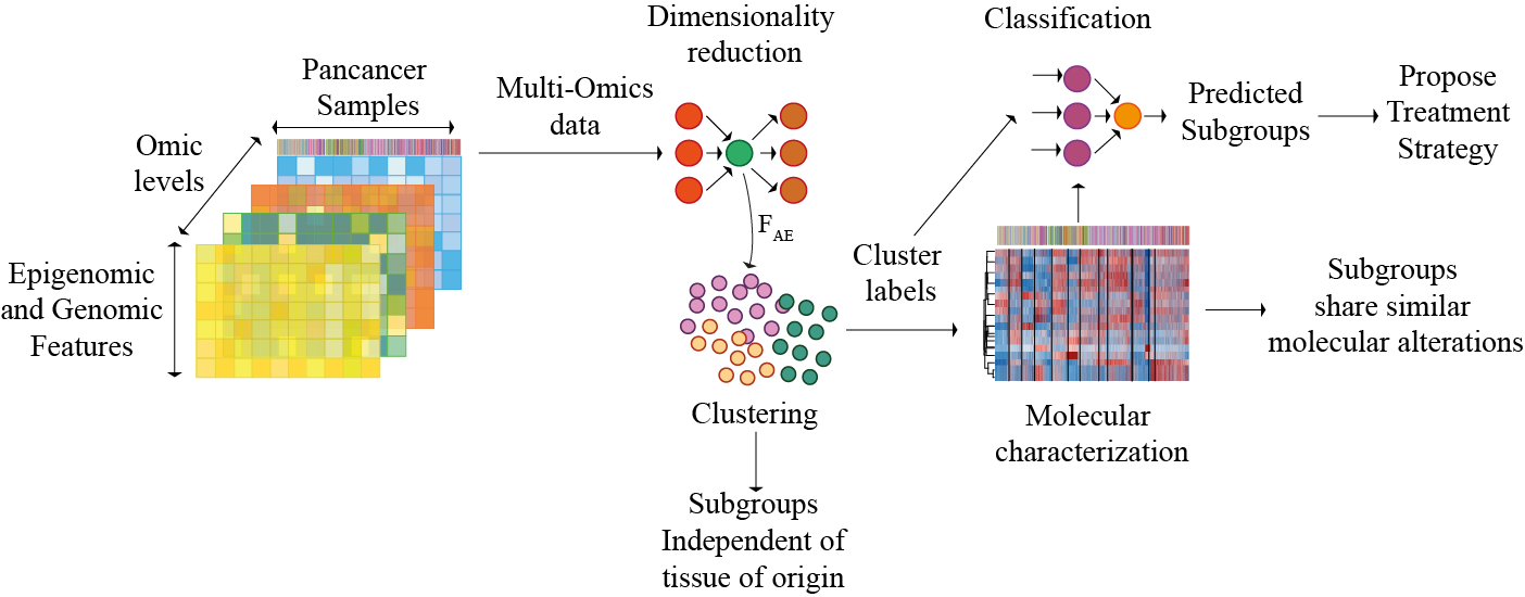 Subgroup Identification In Pancancer Seema R K
